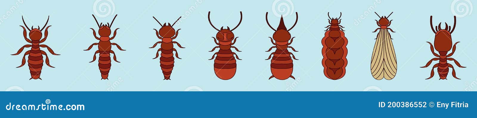 Termite, Dead Termites On Crack Wood Background, Dead Termite On Wood ...