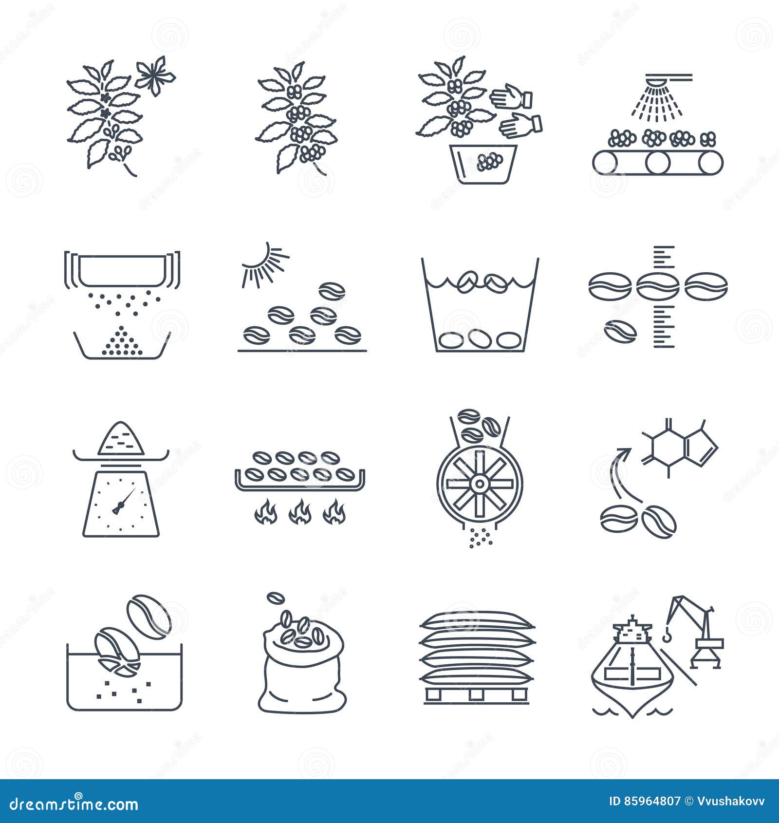 Coffee Production And Consumption Infographics Cartoon Vector ... Coffee Production And Consumption Infographics Cartoon Vector ...