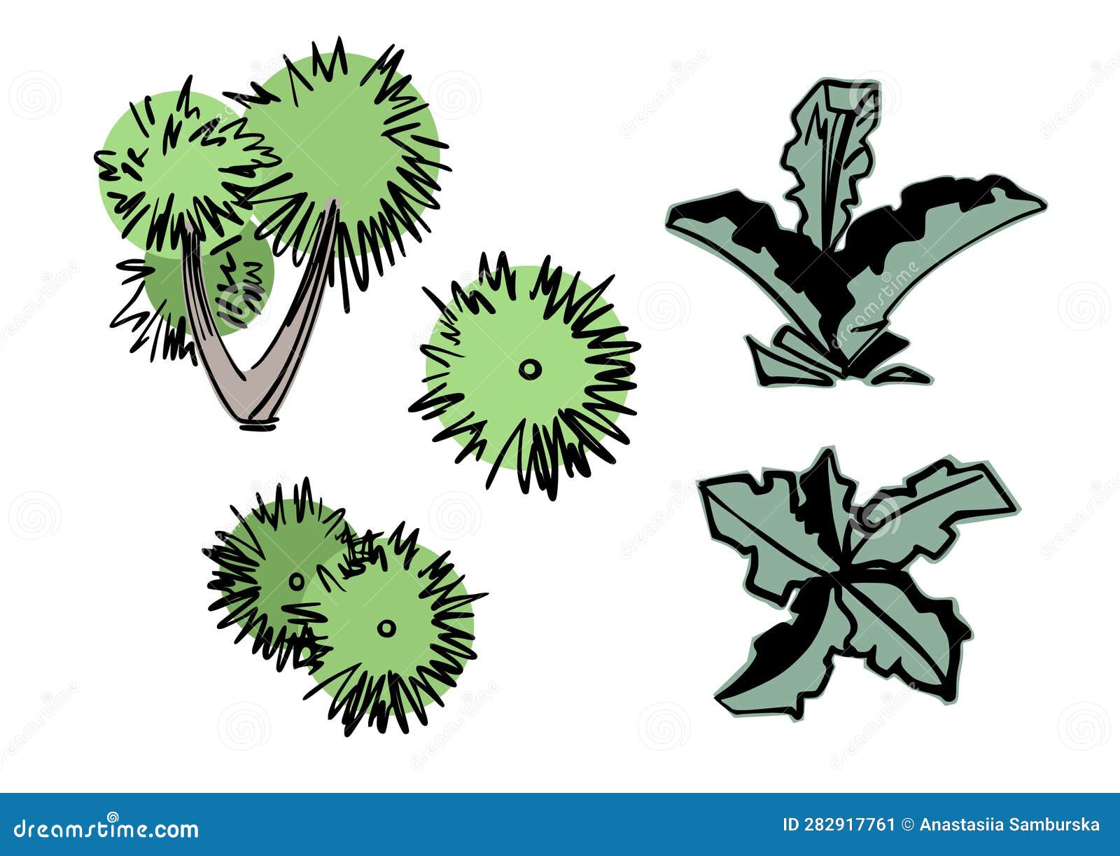 Set of Thorn Bushes, Front View, Plan View. Hand Drawn Illustration ...