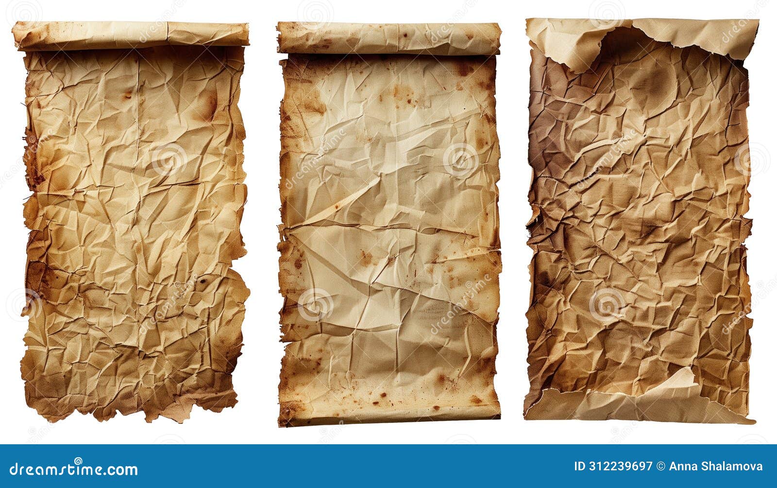 Set of Three Ancient Crumpled Parchment Scrolls Isolated on White ...