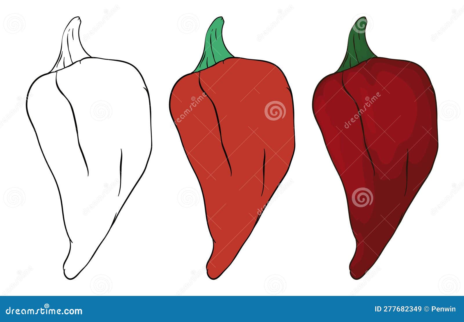 Set with Three Chili Peppers in Different Versions, Vector Illustration ...