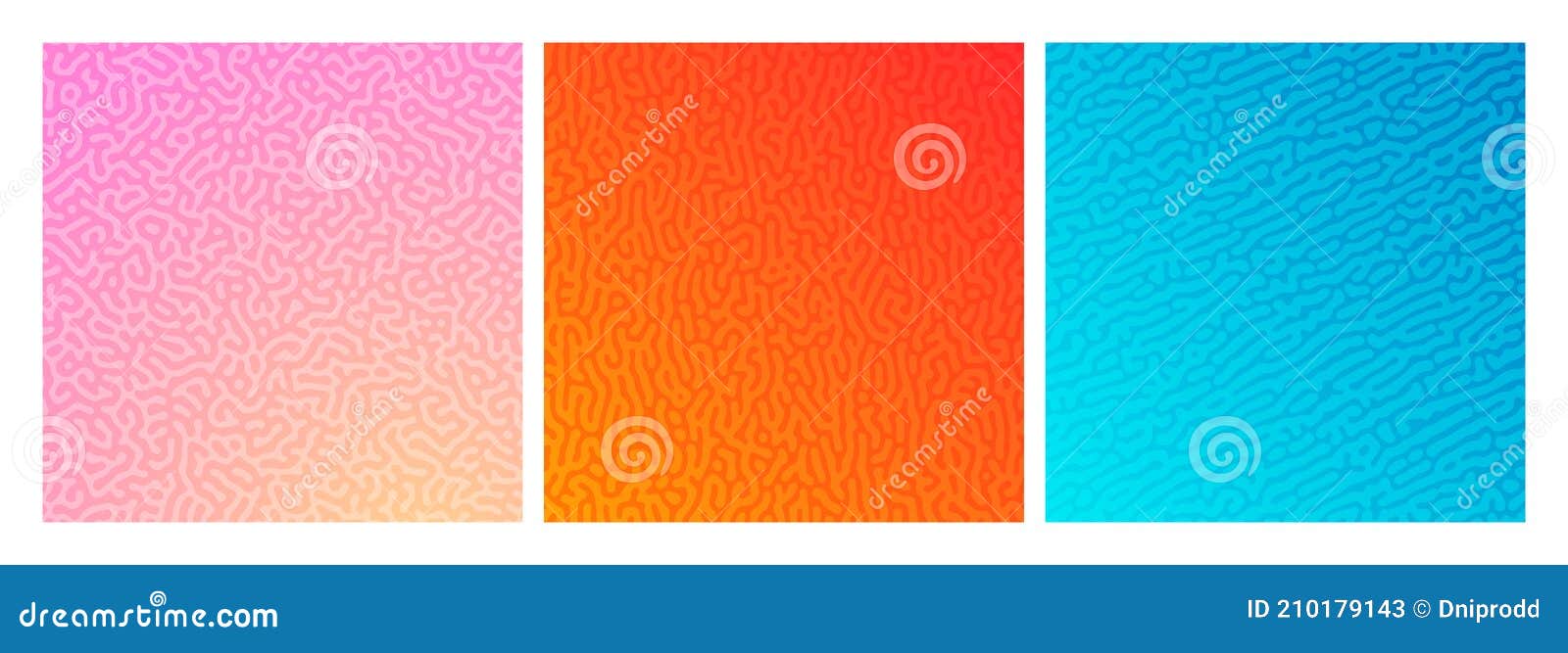 Set Of Three Colorful Turing Reaction Gradient Stock Vector