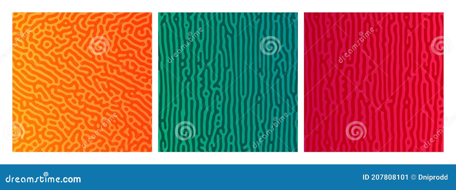 Set Of Three Colorful Turing Reaction Gradient Stock Vector