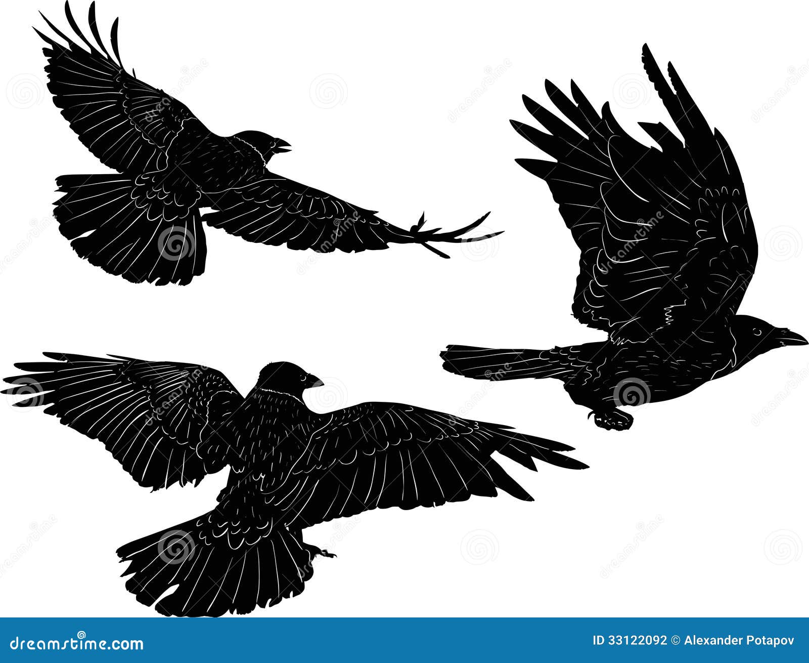 Set of Three Crows Isolated on White Stock Vector - Illustration of ...
