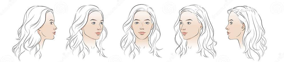 Set of Three Different Angles. Different View Front, Profile, Three ...