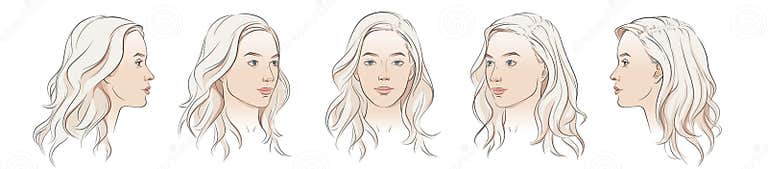 Set of Three Different Angles. Different View Front, Profile, Three ...