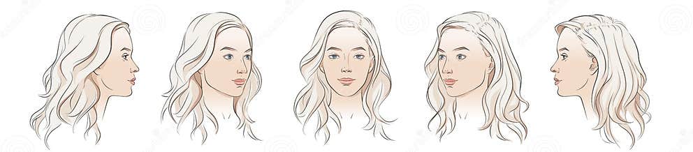 Set of Three Different Angles. Different View Front, Profile, Three ...