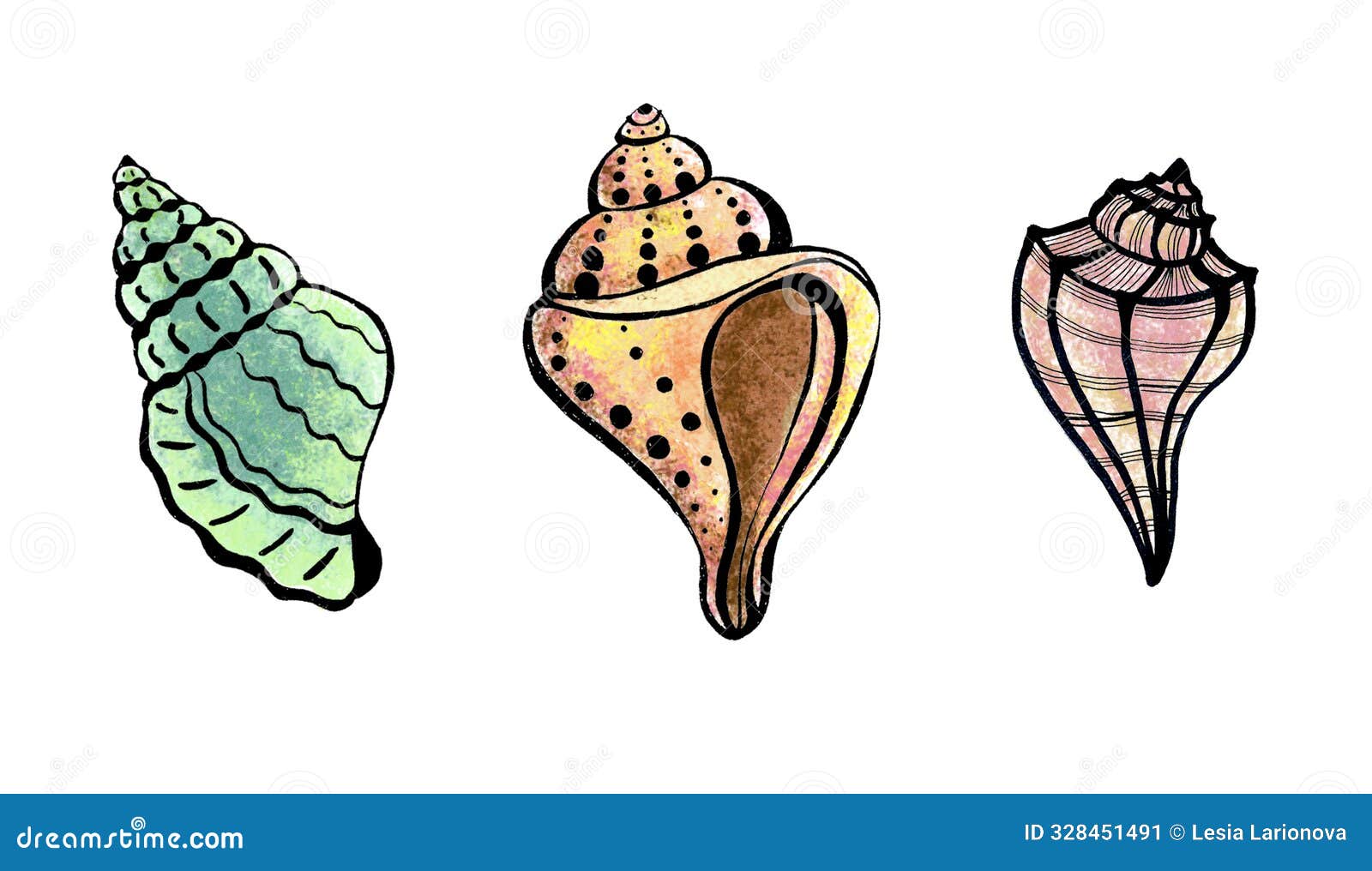 A Set of Three Different Shells. Drawing with a Black Outline. Isolated ...