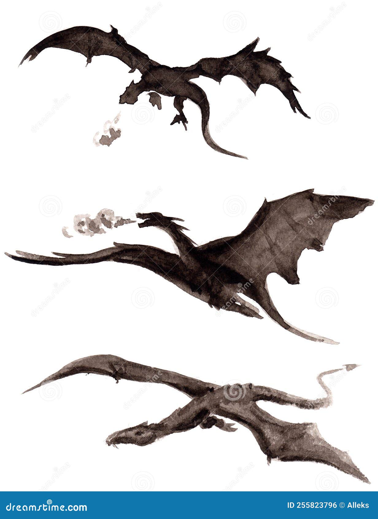 Set with Three Differents Forms Dragons Isolated on White. Hand Drawn ...