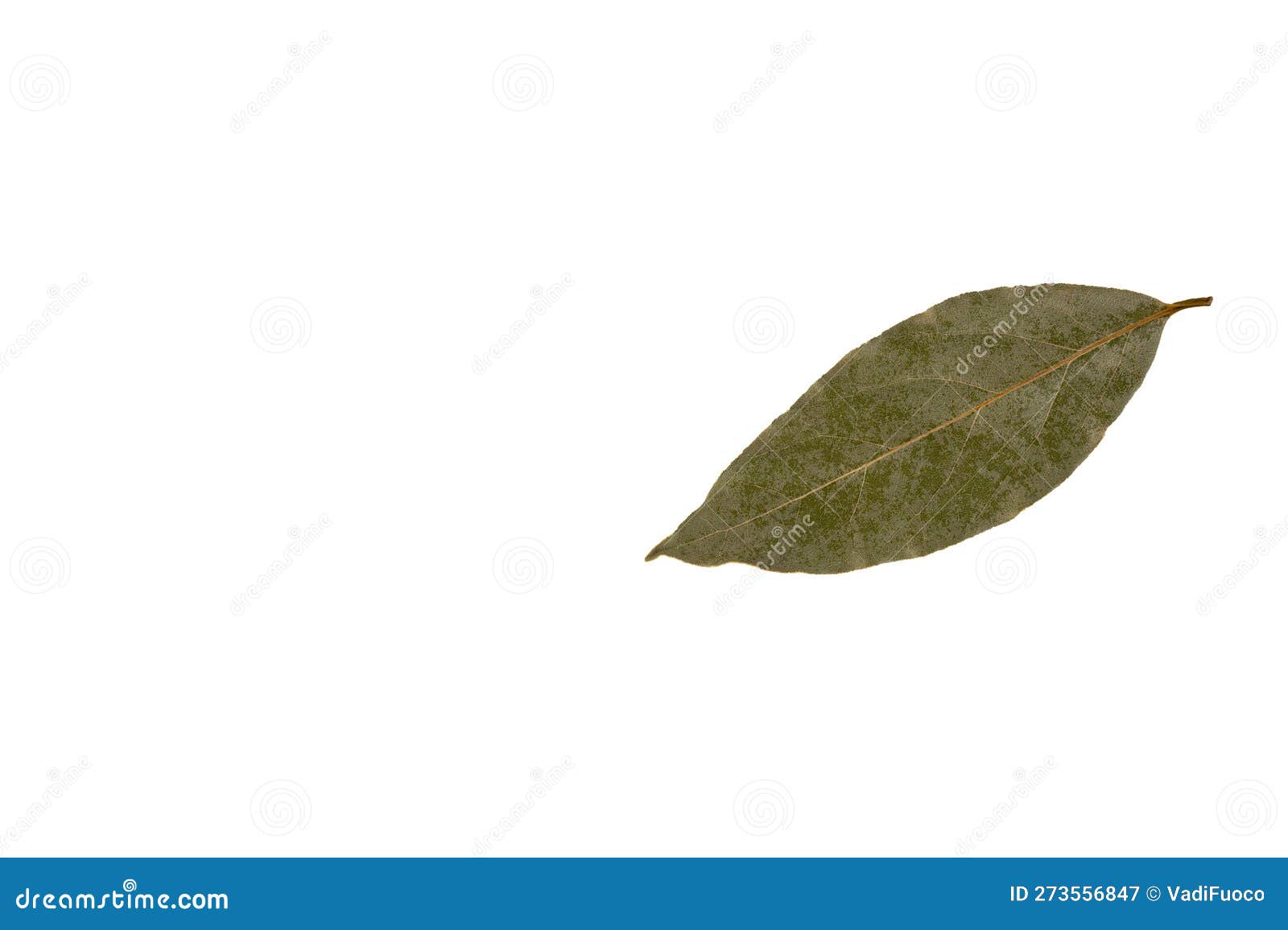 A Set of Three Dry Bay Leaves on a White Isolated Background Stock ...