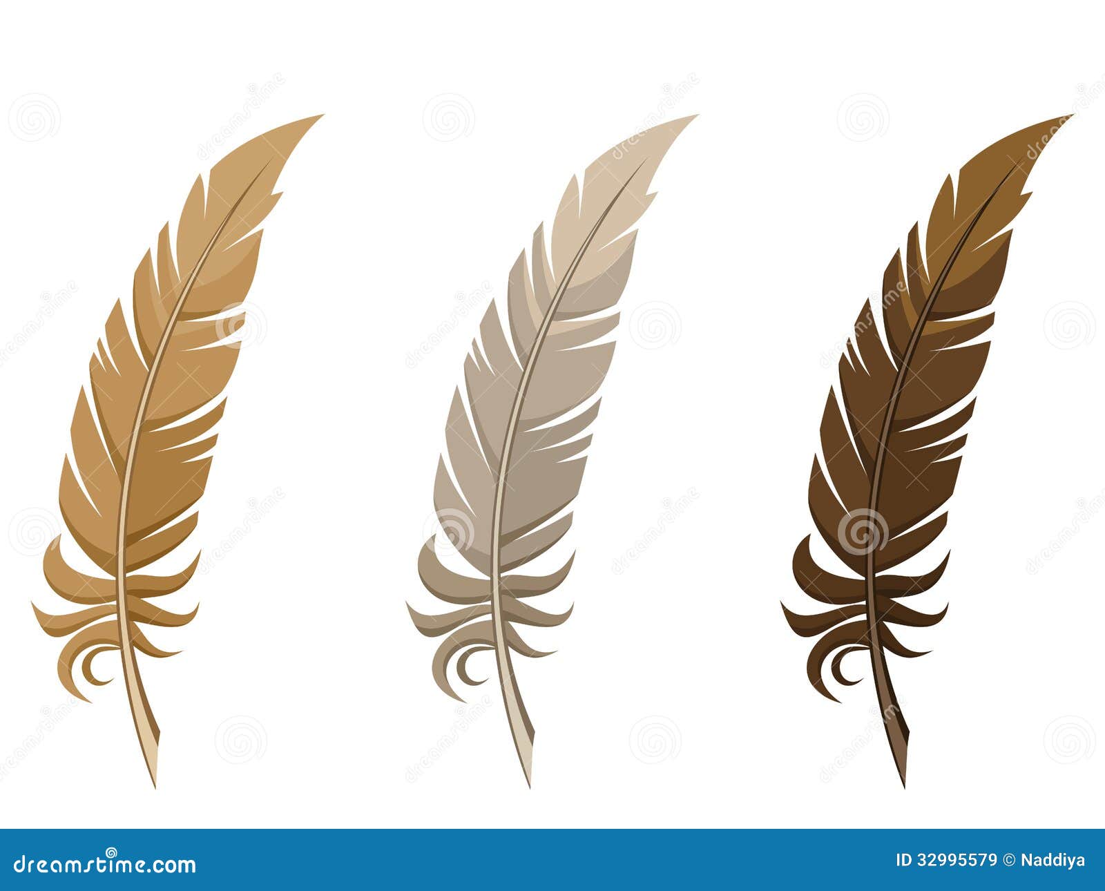 Set of three feathers. stock vector. Illustration of classical - 32995579