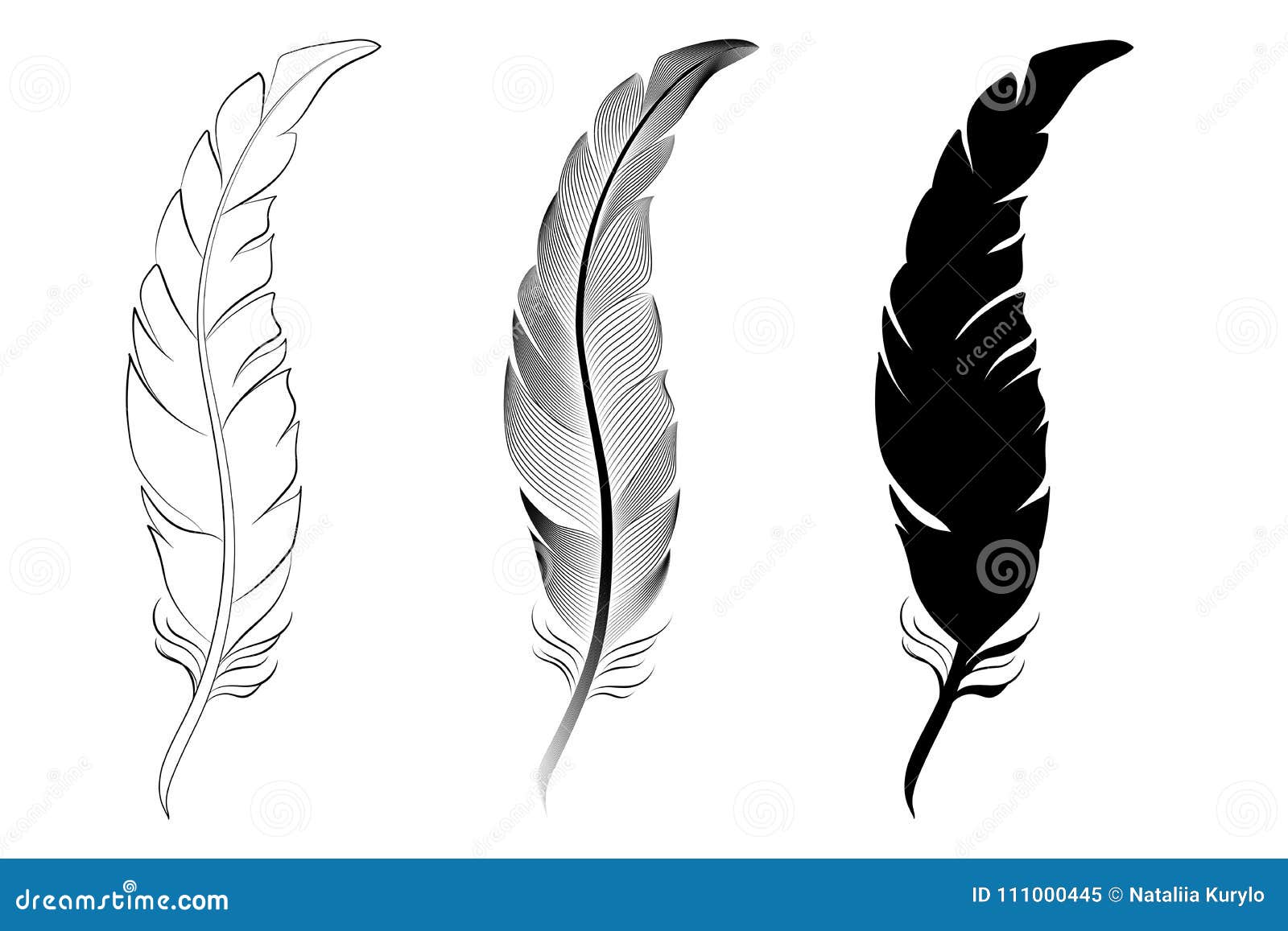 Set Feathers, Outline And Silhouette, Stylization. Cartoon Vector ...