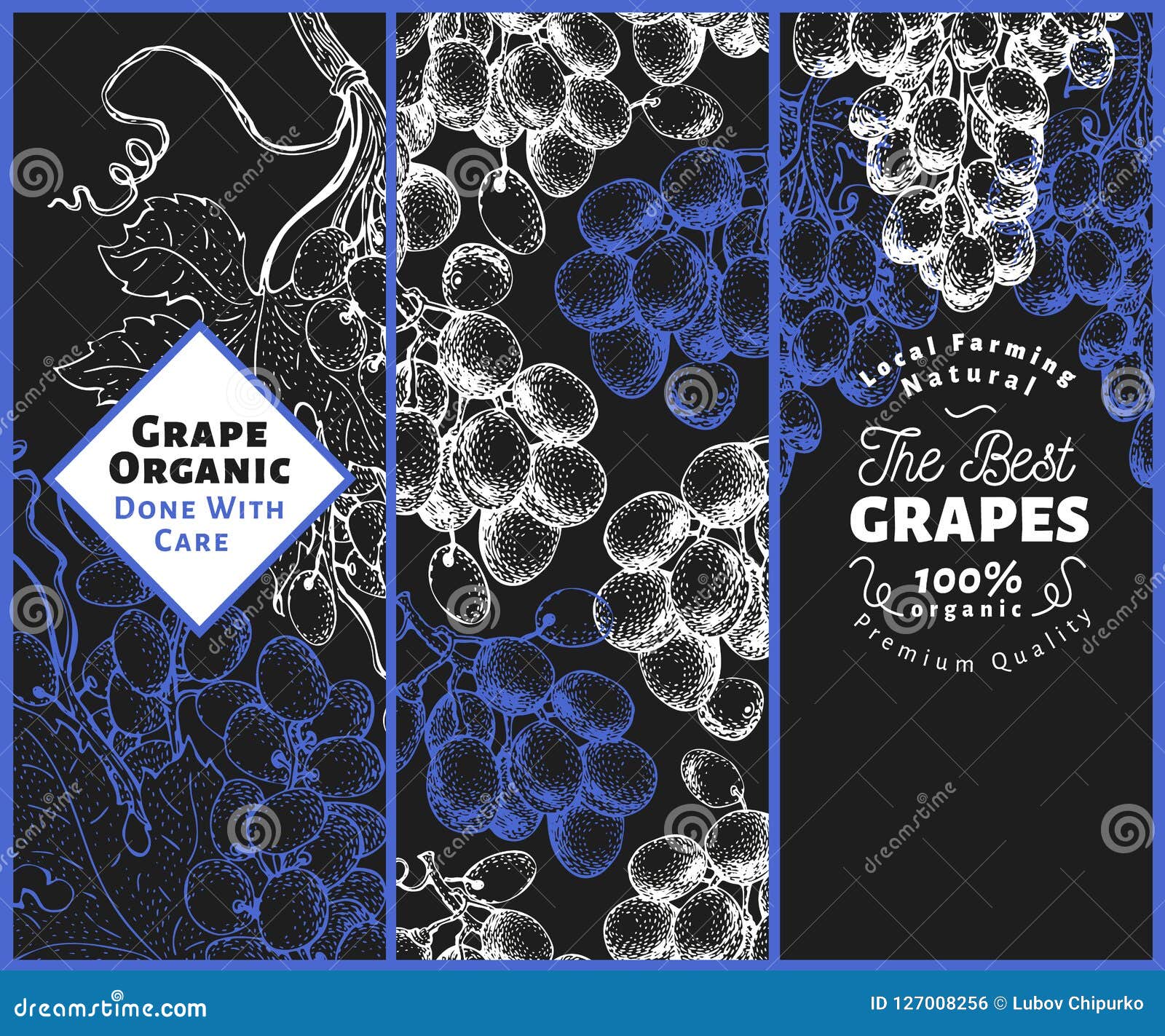 Set of Three Grape Banners. Grape Berry Frame Template Stock Vector ...