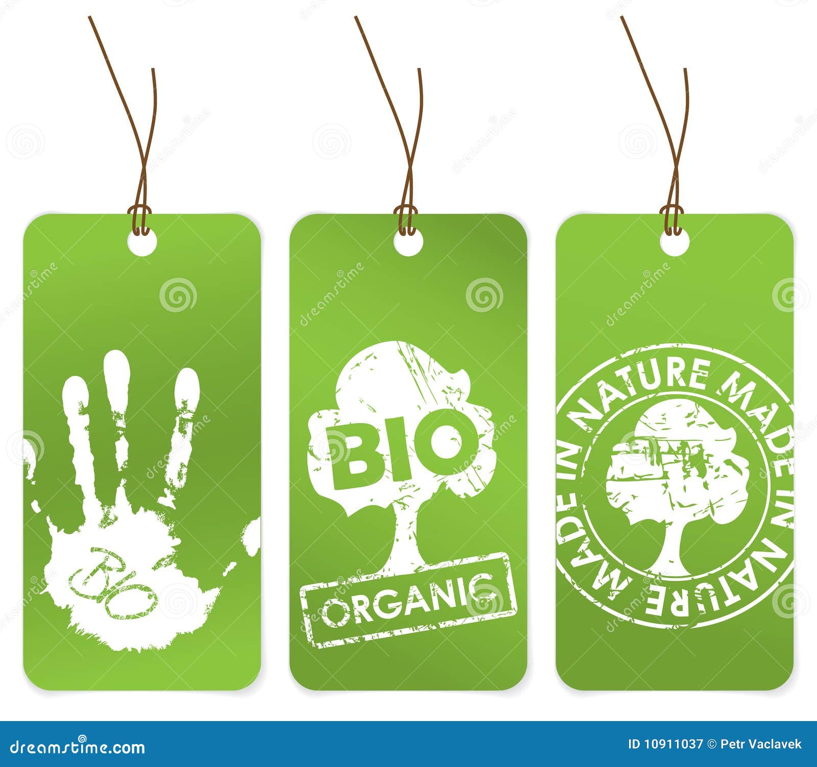 Set of Three Green Tags for Organic Stock Vector - Illustration of ...