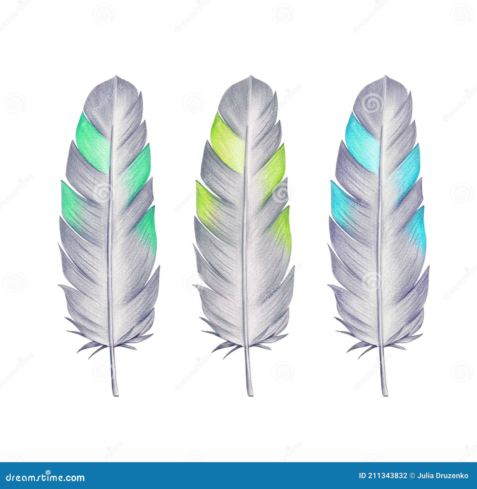 Set of Three Hand Drawn Feathers Isolated on White, Colored Pencils ...