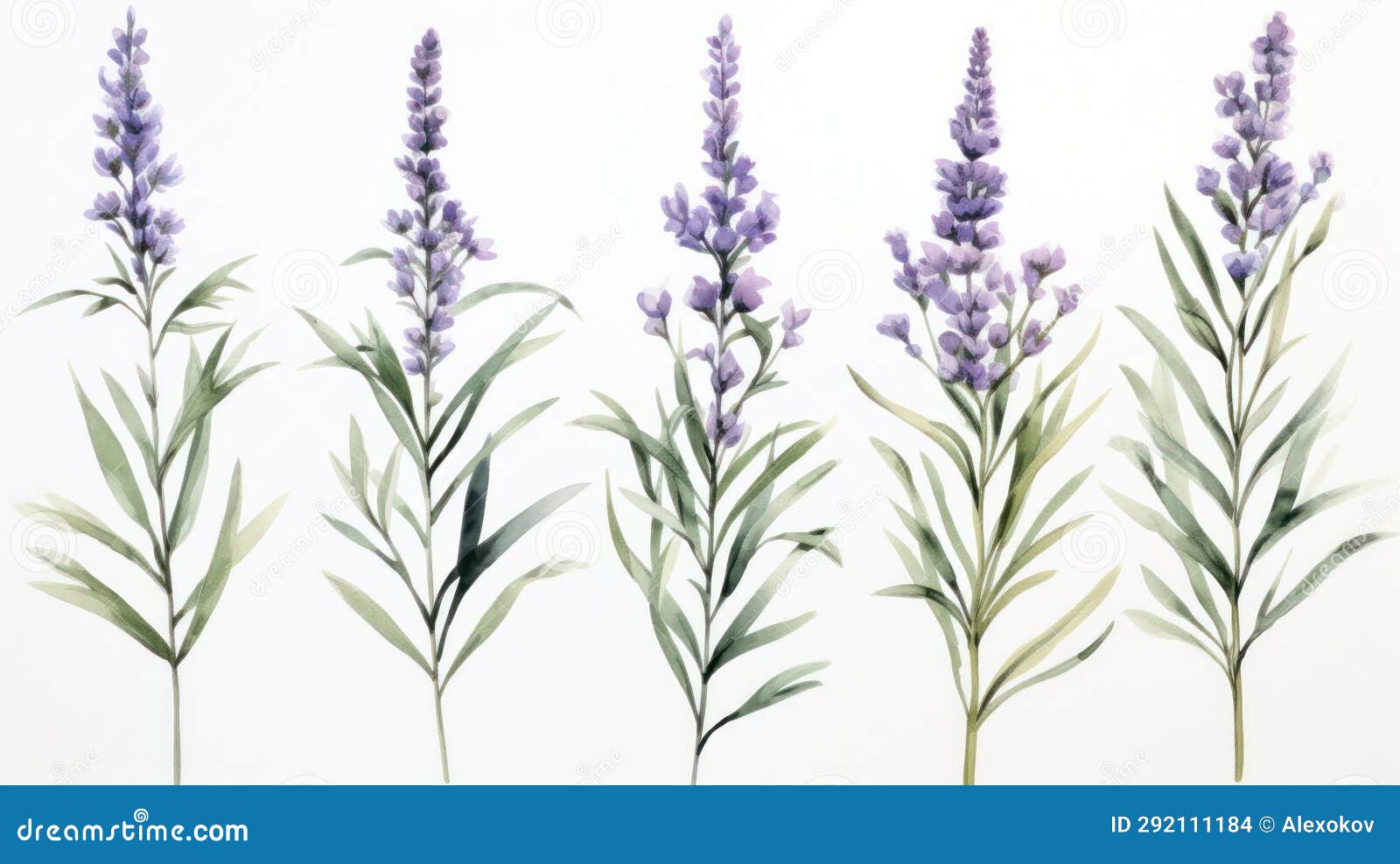 Set of Three Intricate Watercolor Lavender Sprigs AI Generated Stock ...