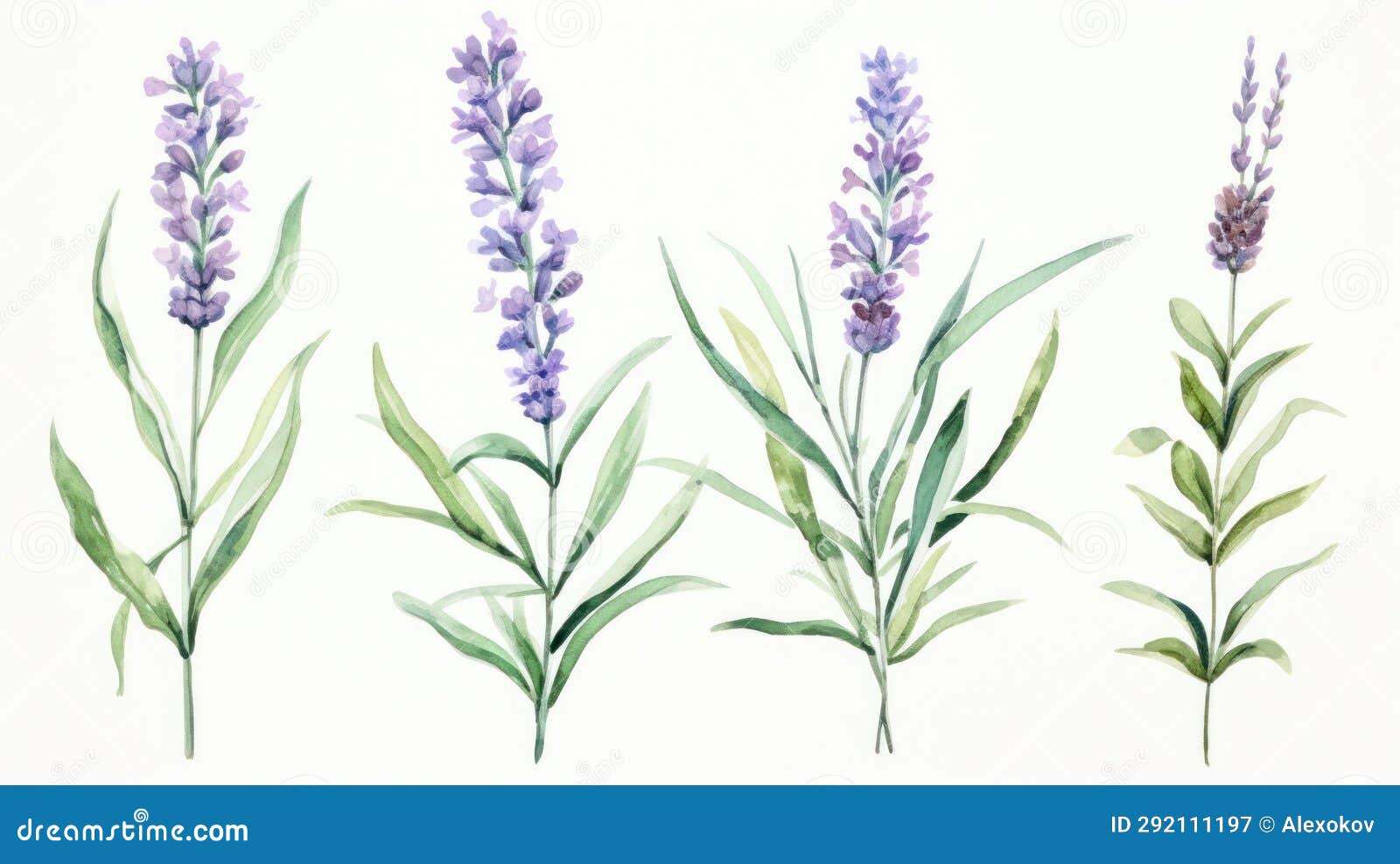 Set of Three Intricate Watercolor Lavender Sprigs AI Generated Stock ...