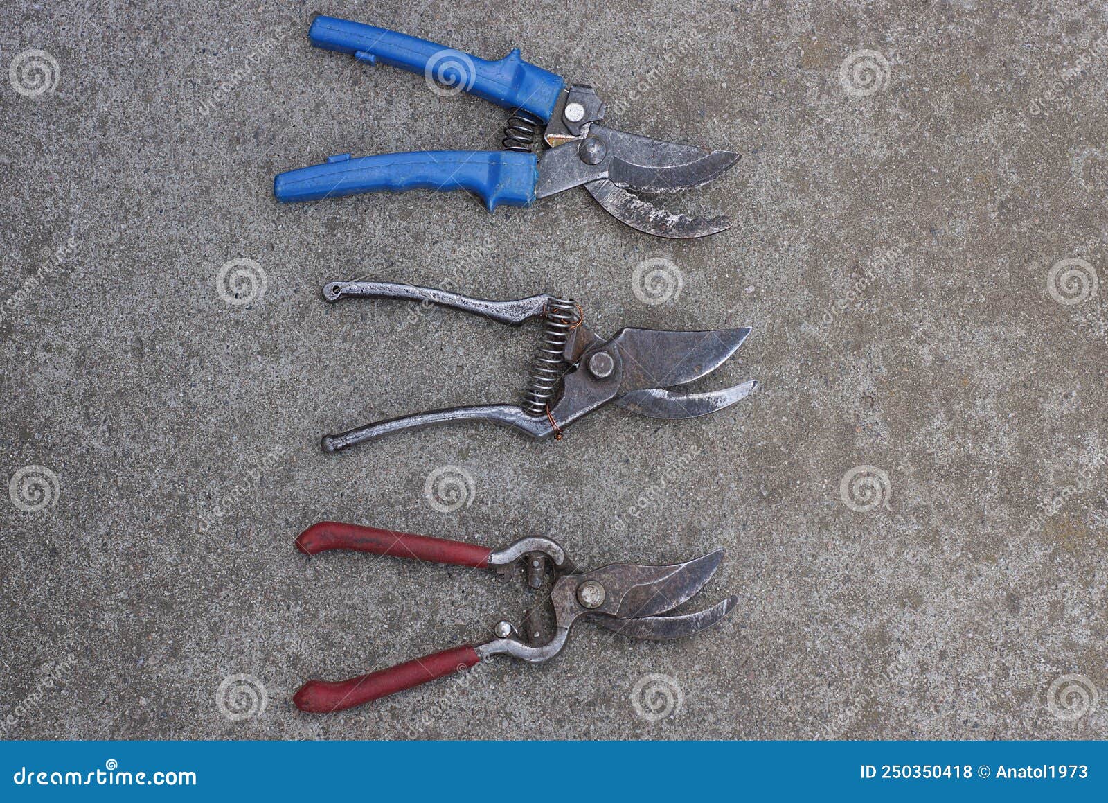 A Set of Three Iron Scissors Secateurs Stock Photo - Image of brown ...