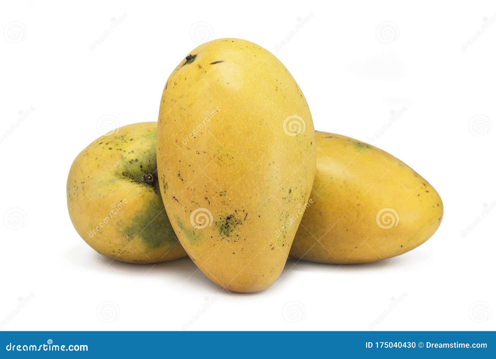 Set of Three Mangoes High Quality Image Stock Photo - Image of ...