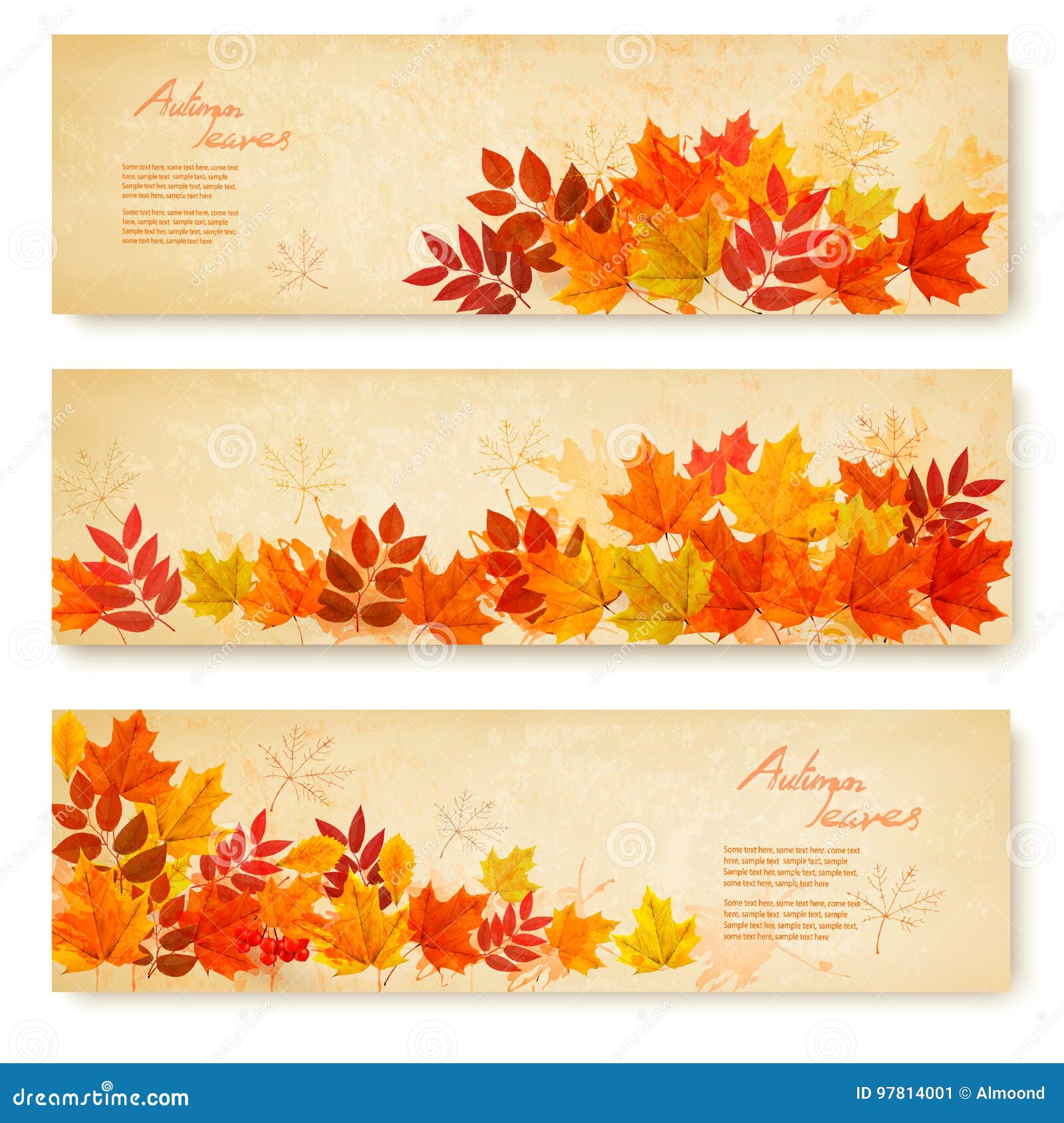 Set of Three Nature Banners with Colorful Autumn Leaves. Stock Vector ...
