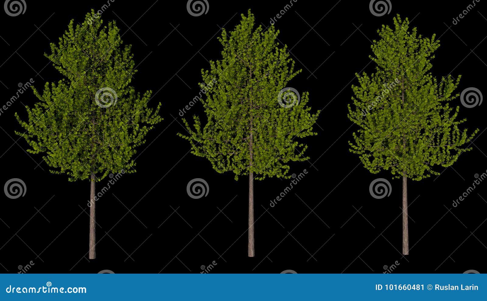 Set of Three Trees with Black Background, Isolated 3D Render Stock ...