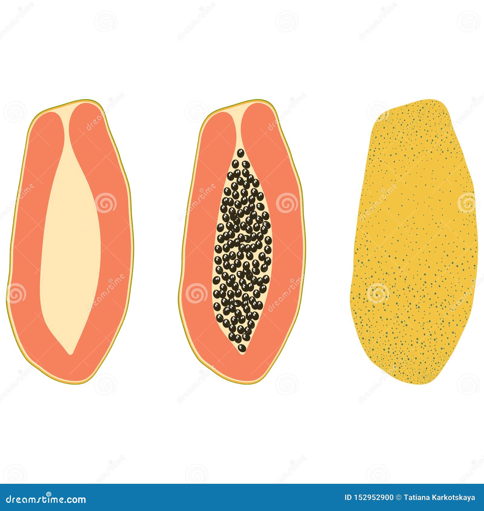 Set of Three Types of Papaya â€“ Half, with Bones, in the Skin. Vector ...