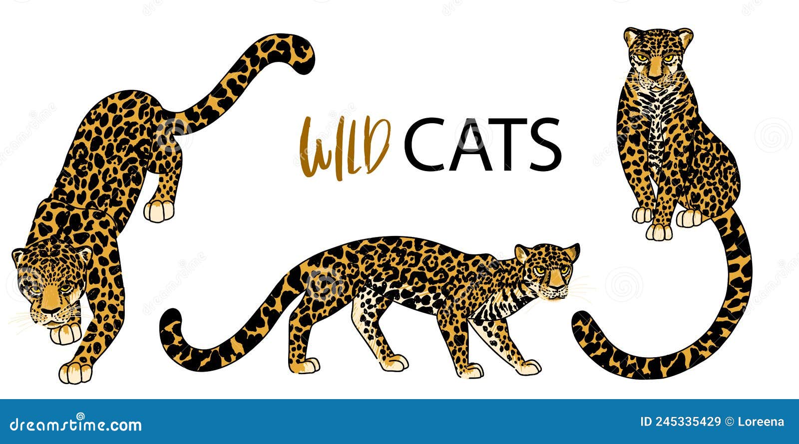 Set of Three Vector Leopards, Hand Drawn Stock Vector - Illustration of ...