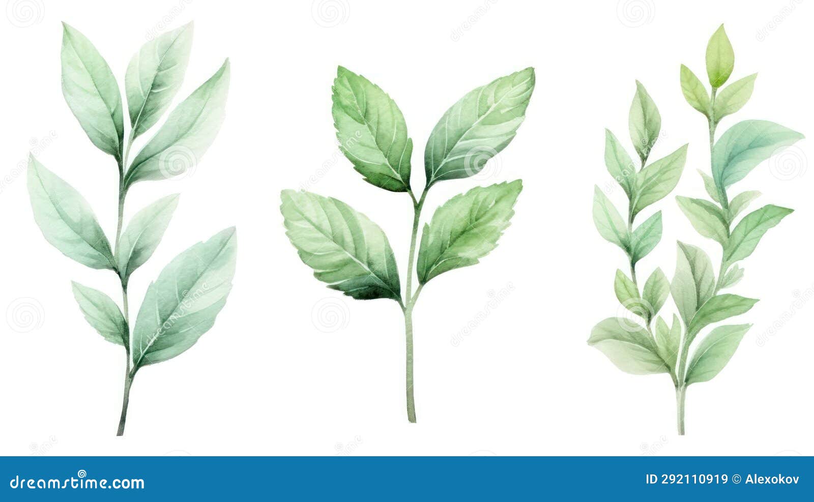 Set of Three Watercolor Mint Sprig Leaves AI Generated Stock ...