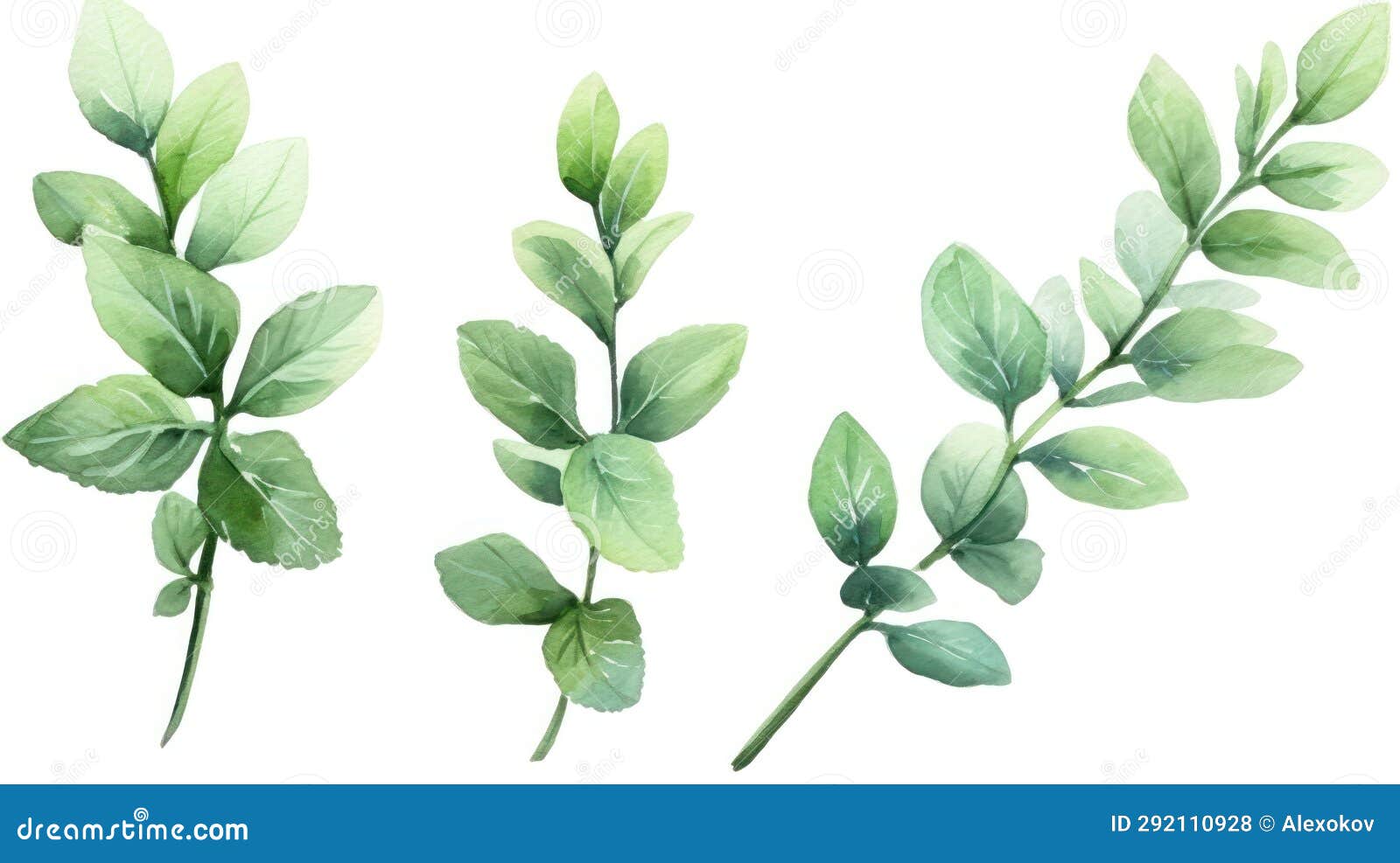 Set of Three Watercolor Mint Sprig Leaves AI Generated Stock ...