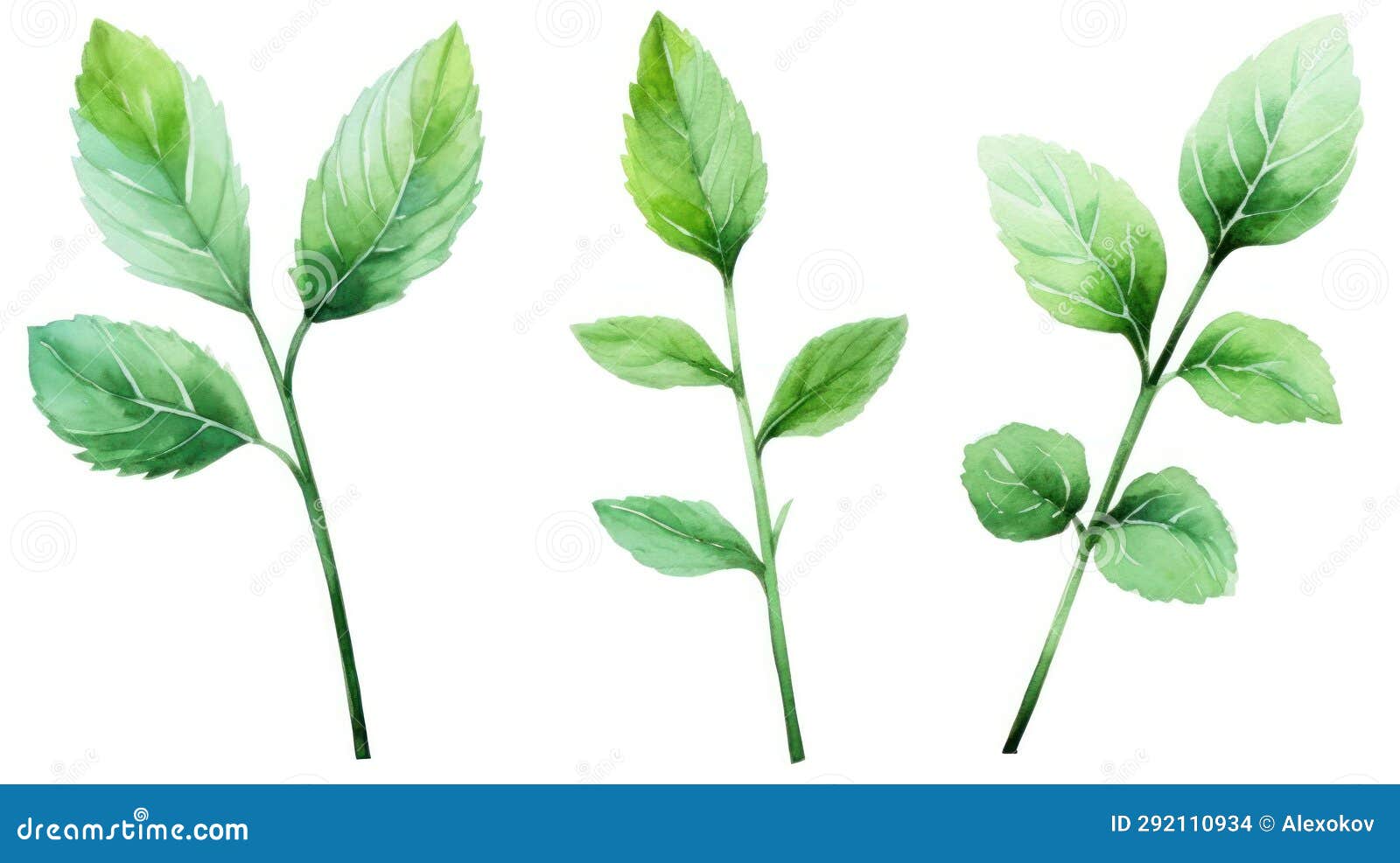 Set of Three Watercolor Mint Sprig Leaves AI Generated Stock ...