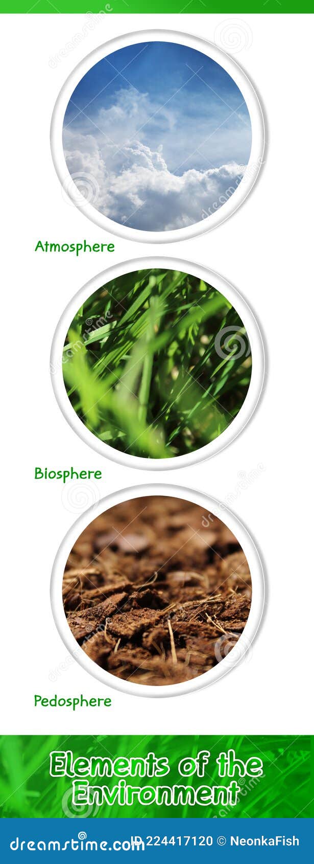 Components Of The Soil Mixture: Vermiculite, Agroperlite, Vermicompost ...