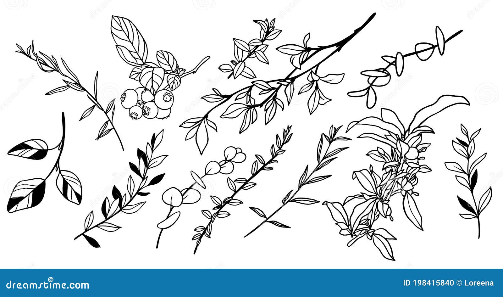 Foliage Greenery Line Art Stock Illustrations – 5,381 Foliage Greenery ...