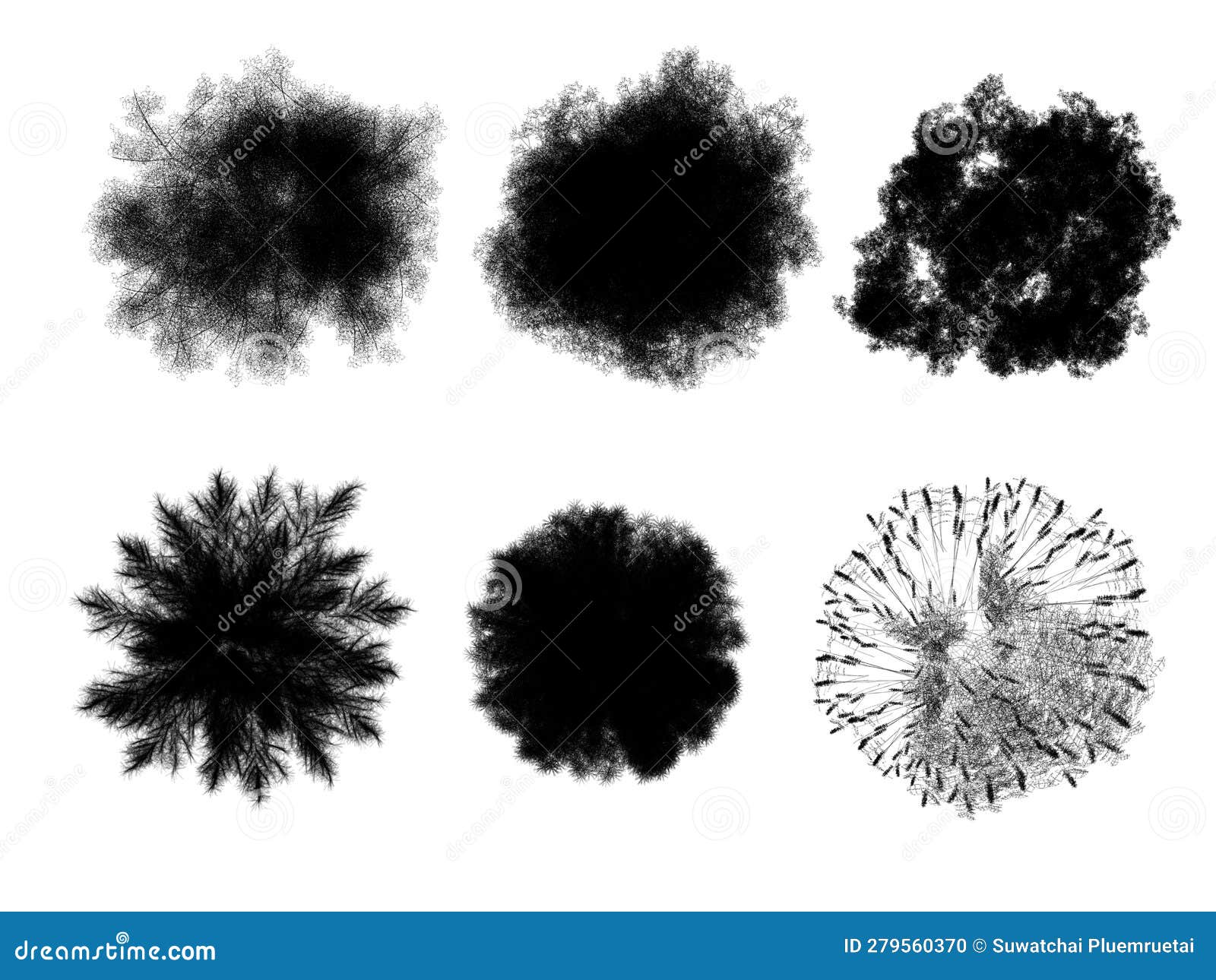 Set of Top View Tree Isolate on White Backgound, 3d Rendering Stock ...
