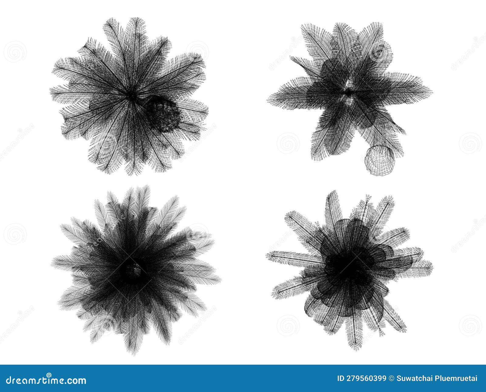 Set of Top View Tree Isolate on White Backgound, 3d Rendering Stock ...