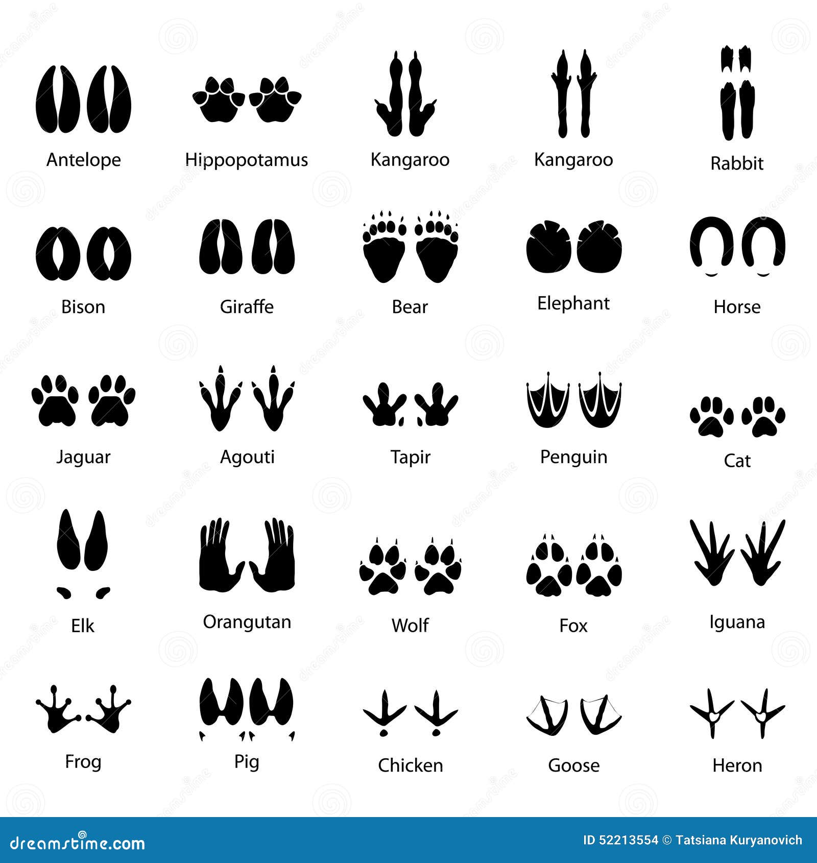 Traces Of Animals Of Different Sizes Stock Photo | CartoonDealer.com ...