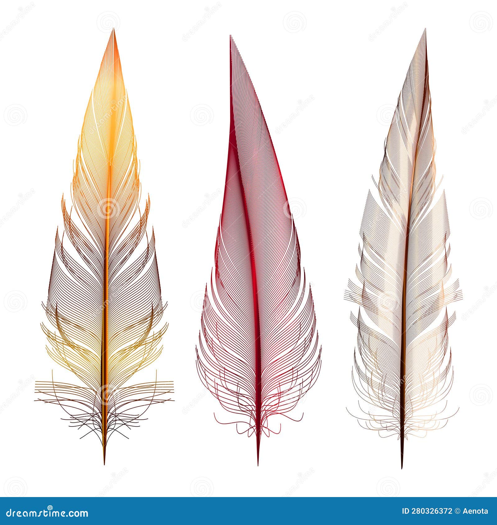 Set of Transparent Feathers - Vector Illustration Stock Vector ...