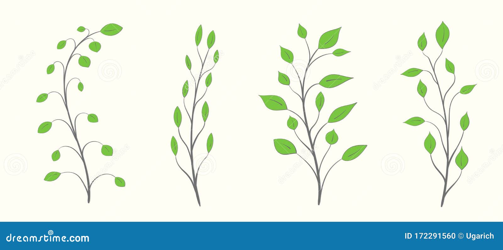 Set of Tree Branches with Green Leaves, Different Sizes and Shapes ...