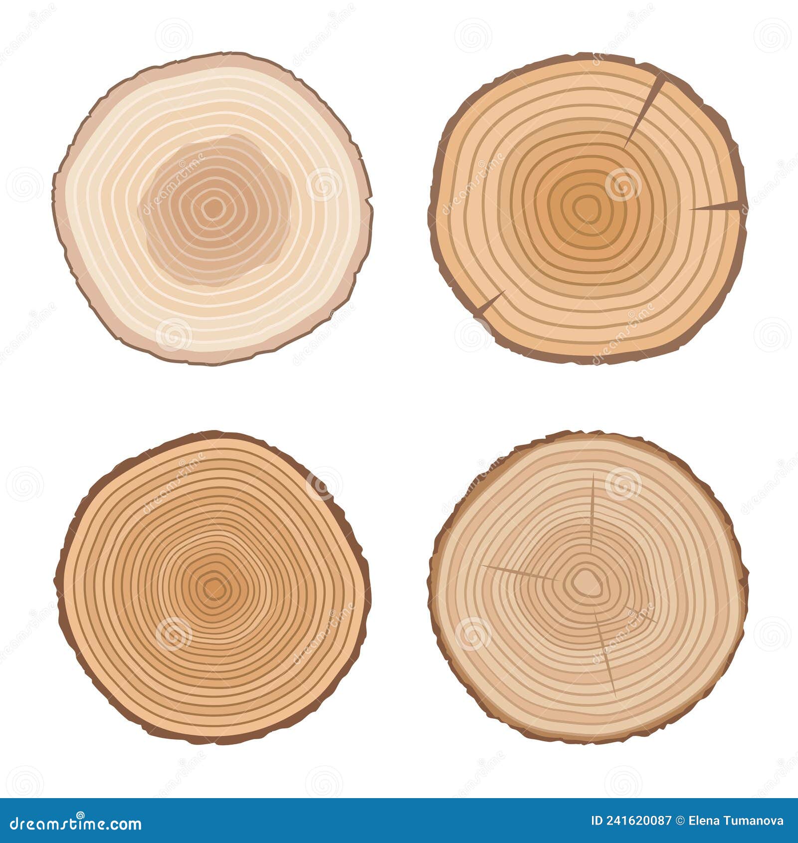 Set of Tree Cross Sections. Wooden Elements with Tree Rings.Isolated on ...
