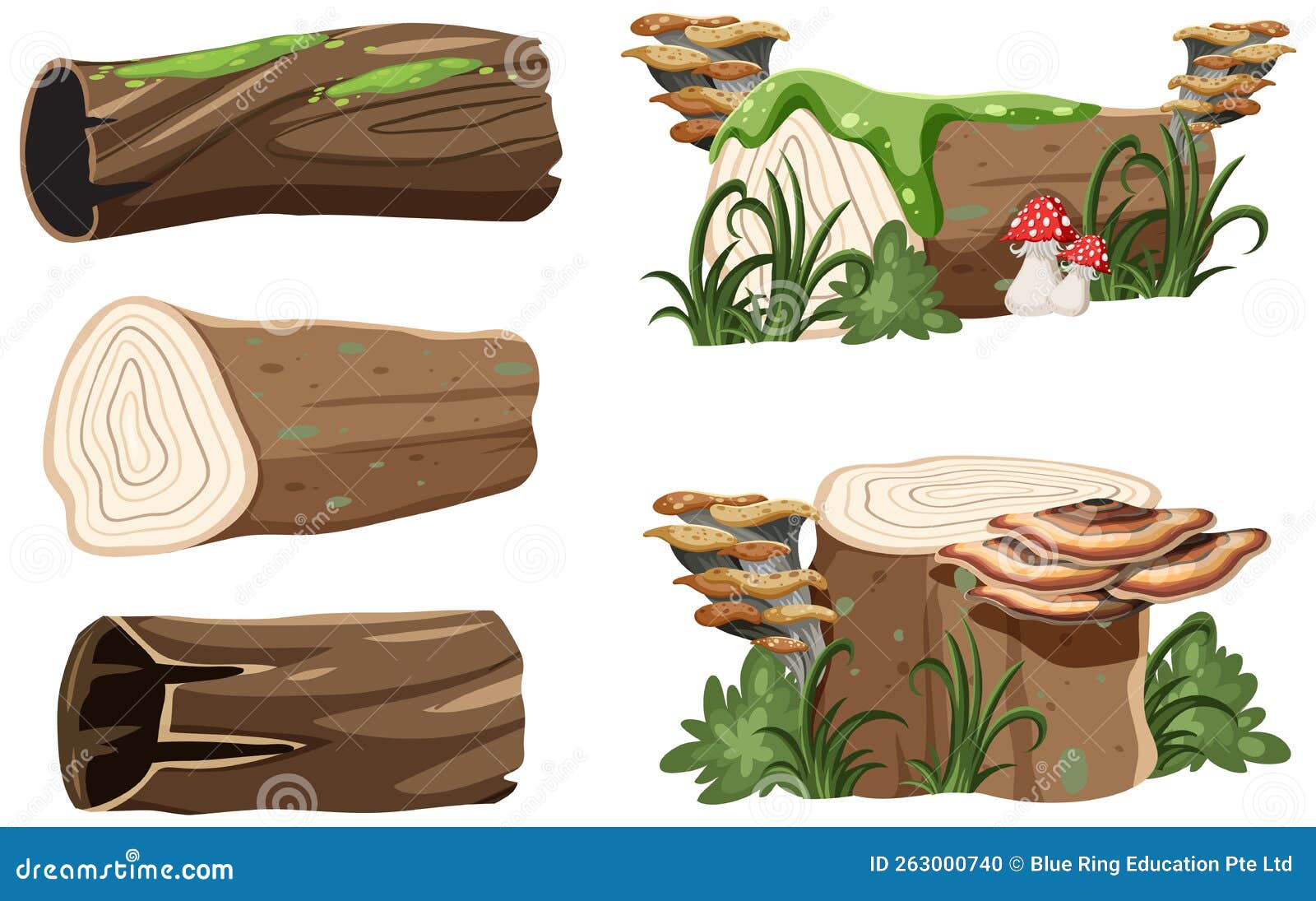 Set of tree cut down part stock vector. Illustration of piece - 263000740
