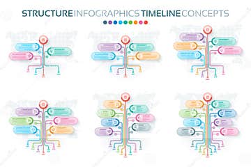 Set of Tree Infographics Templates with Branches Options Stock Vector ...