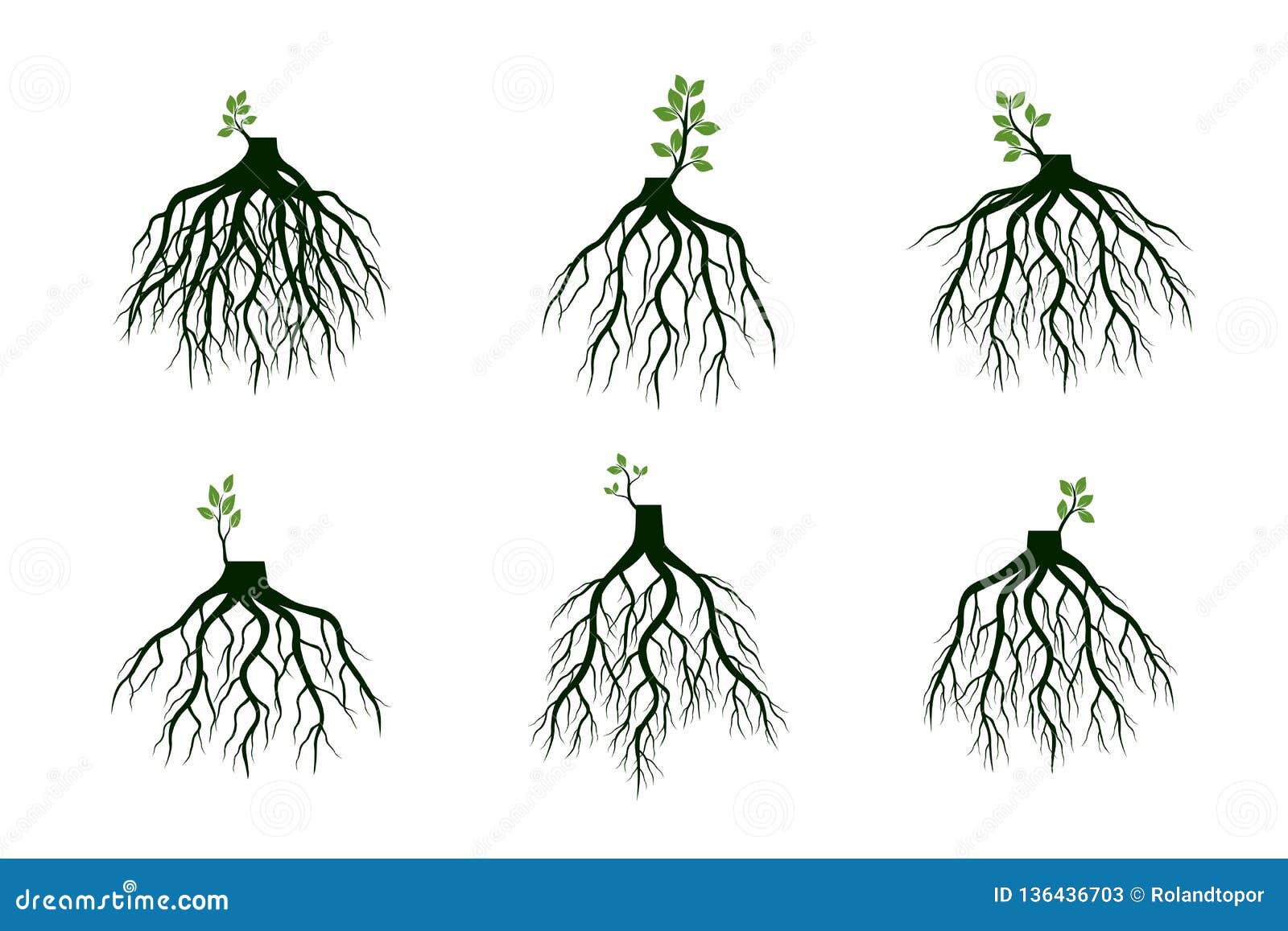 Set of Tree Roots and Germinate Limbs. Roots of Plants. Vector ...
