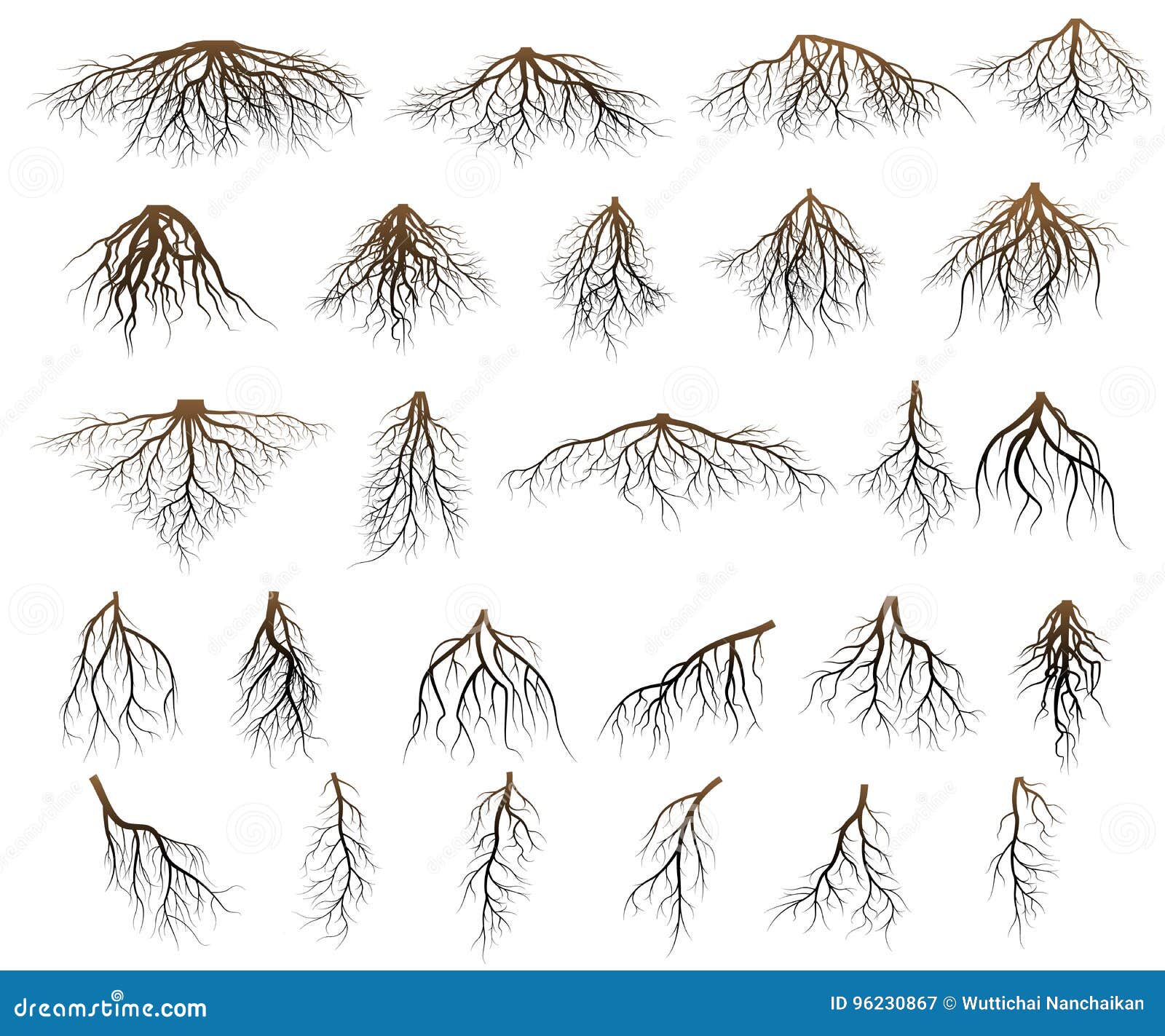 Set Of Tree Roots Cartoon Vector | CartoonDealer.com #96230867