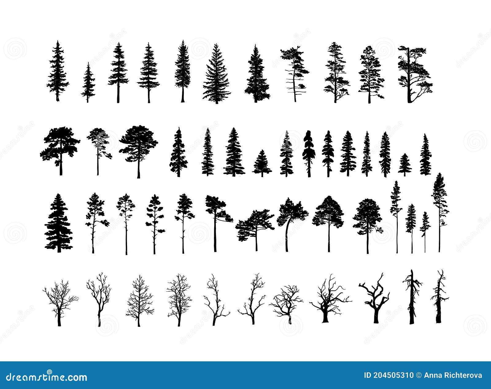 Set of Tree Silhouettes of Different Types and Shapes Isolated on White ...