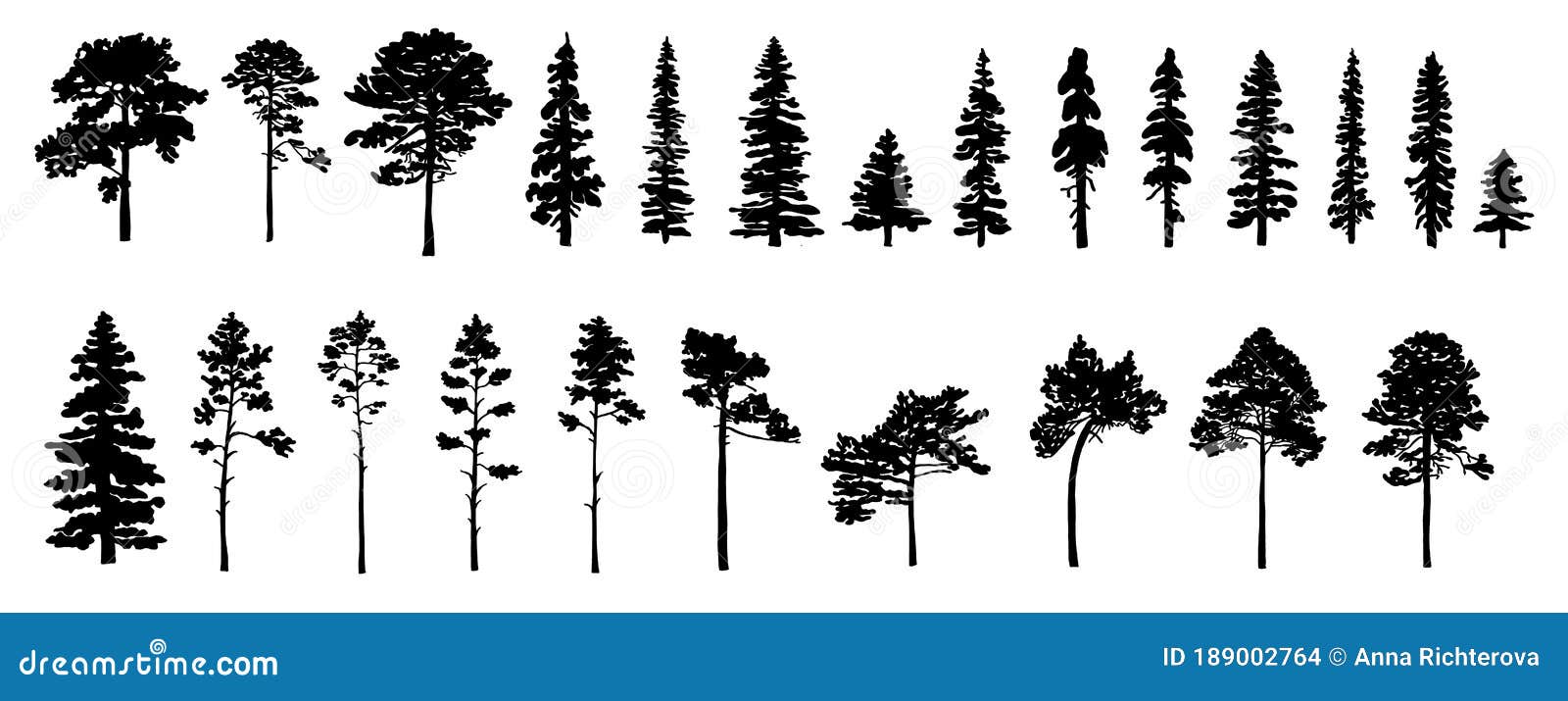 Set Of Tree Silhouettes Of Different Types And Shapes Isolated On White ...