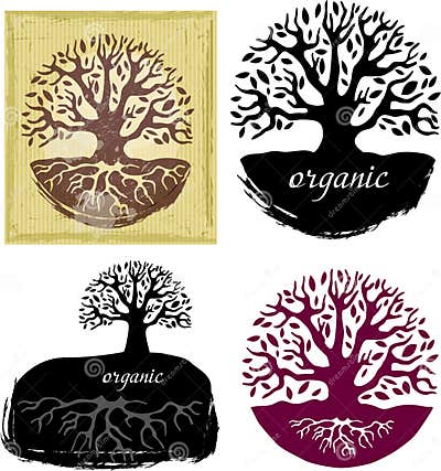 Set of Tree symbols stock vector. Illustration of nature - 36393097