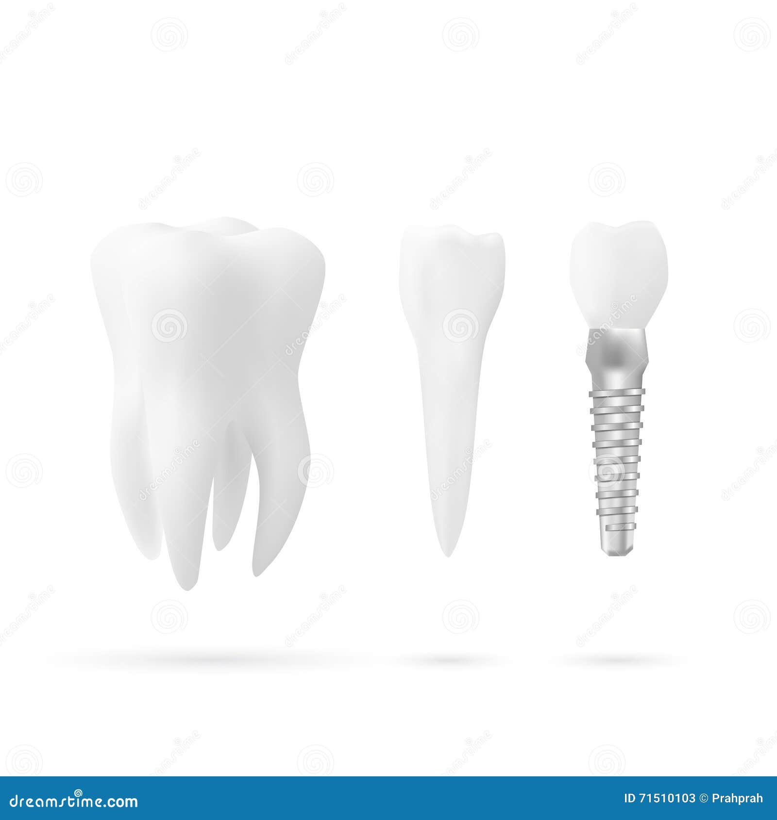 Set of tree tooth stock illustration. Illustration of white - 71510103