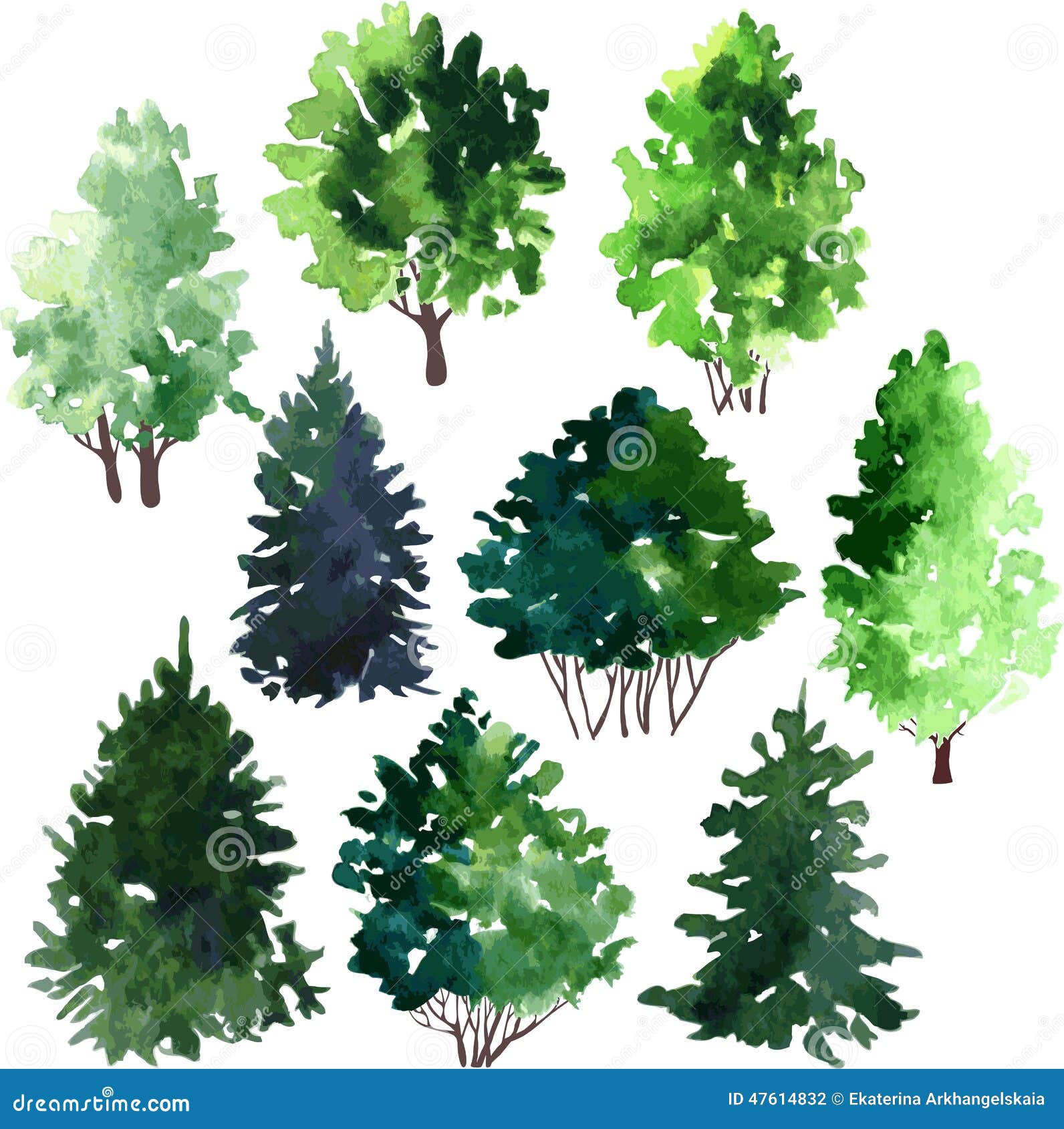 Set of Trees Drawing by Watercolor Stock Vector - Illustration of ...