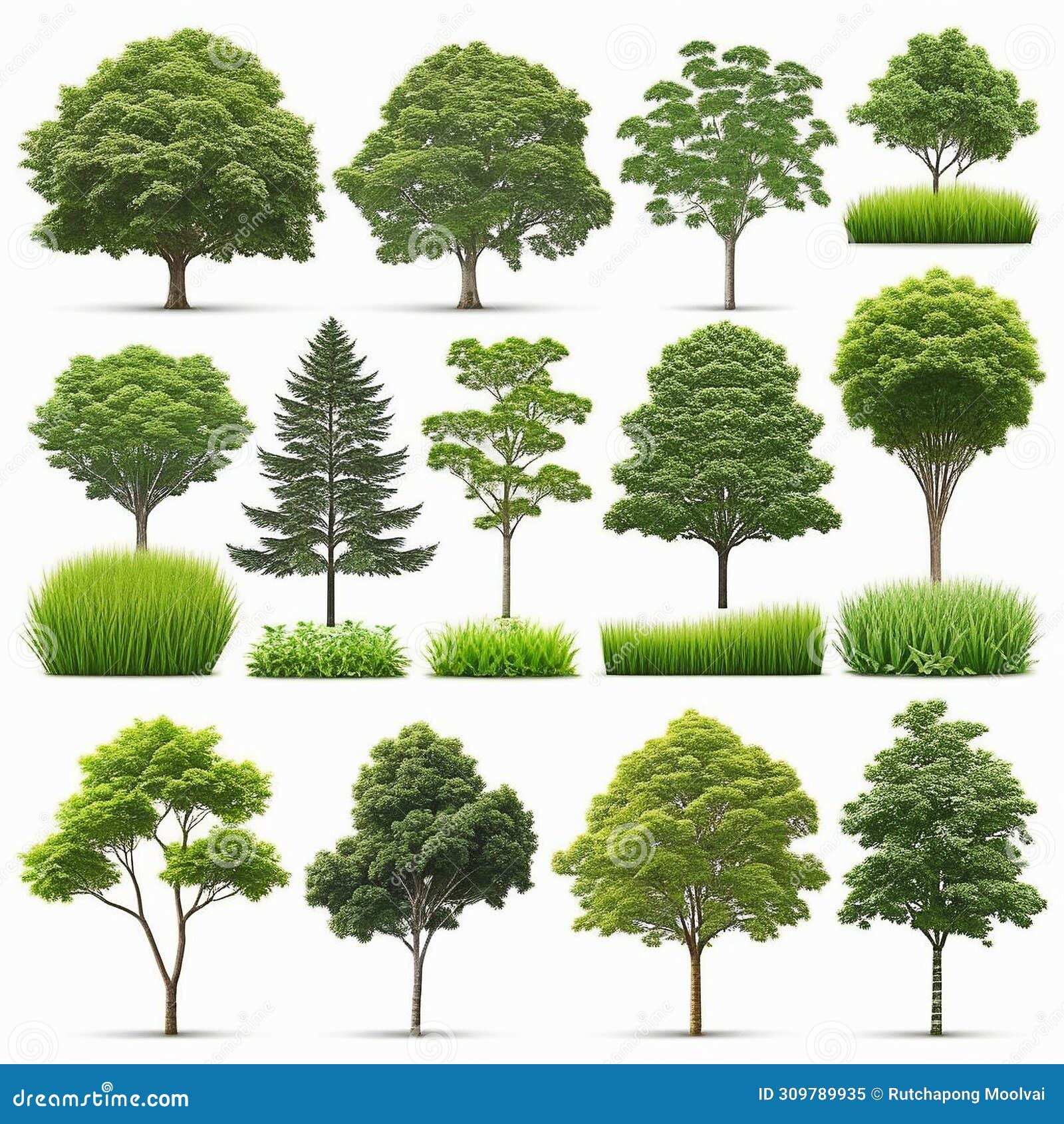 Set of Trees Isolated on White Background , Suitable for Use in ...