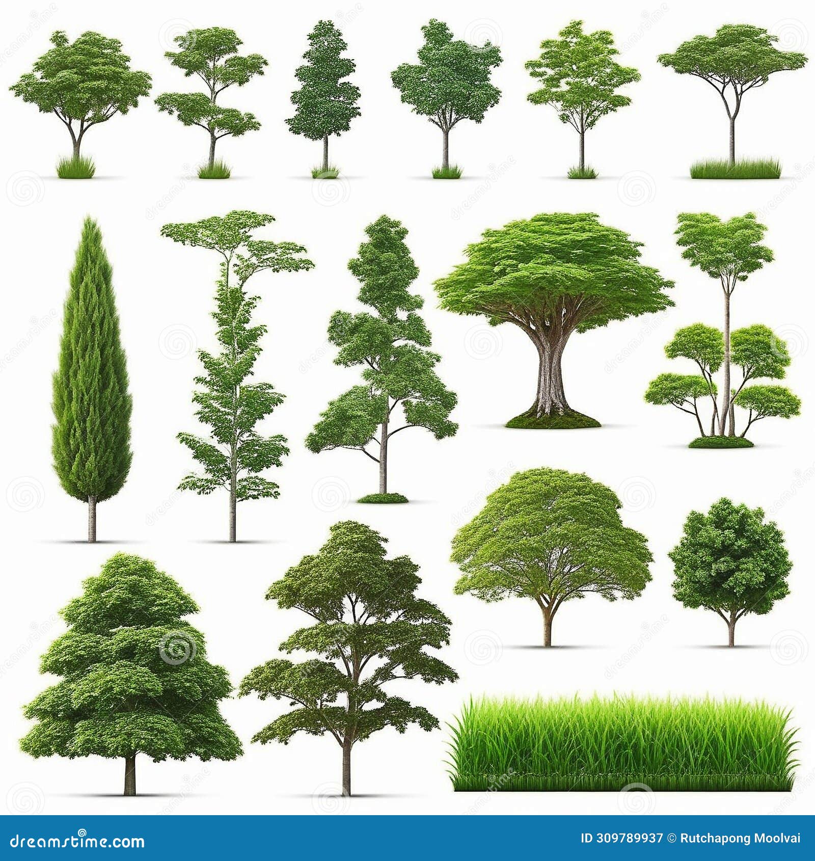 Set of Trees Isolated on White Background , Suitable for Use in ...