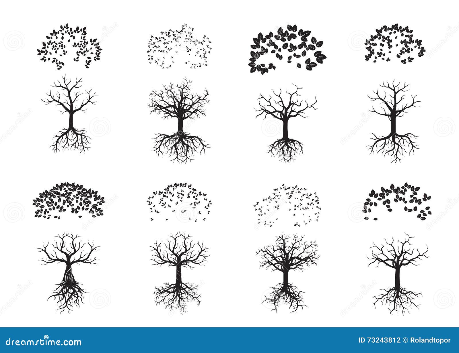 Set of Trees, Leafs and Roots. Vector Illustration. Stock Illustration ...